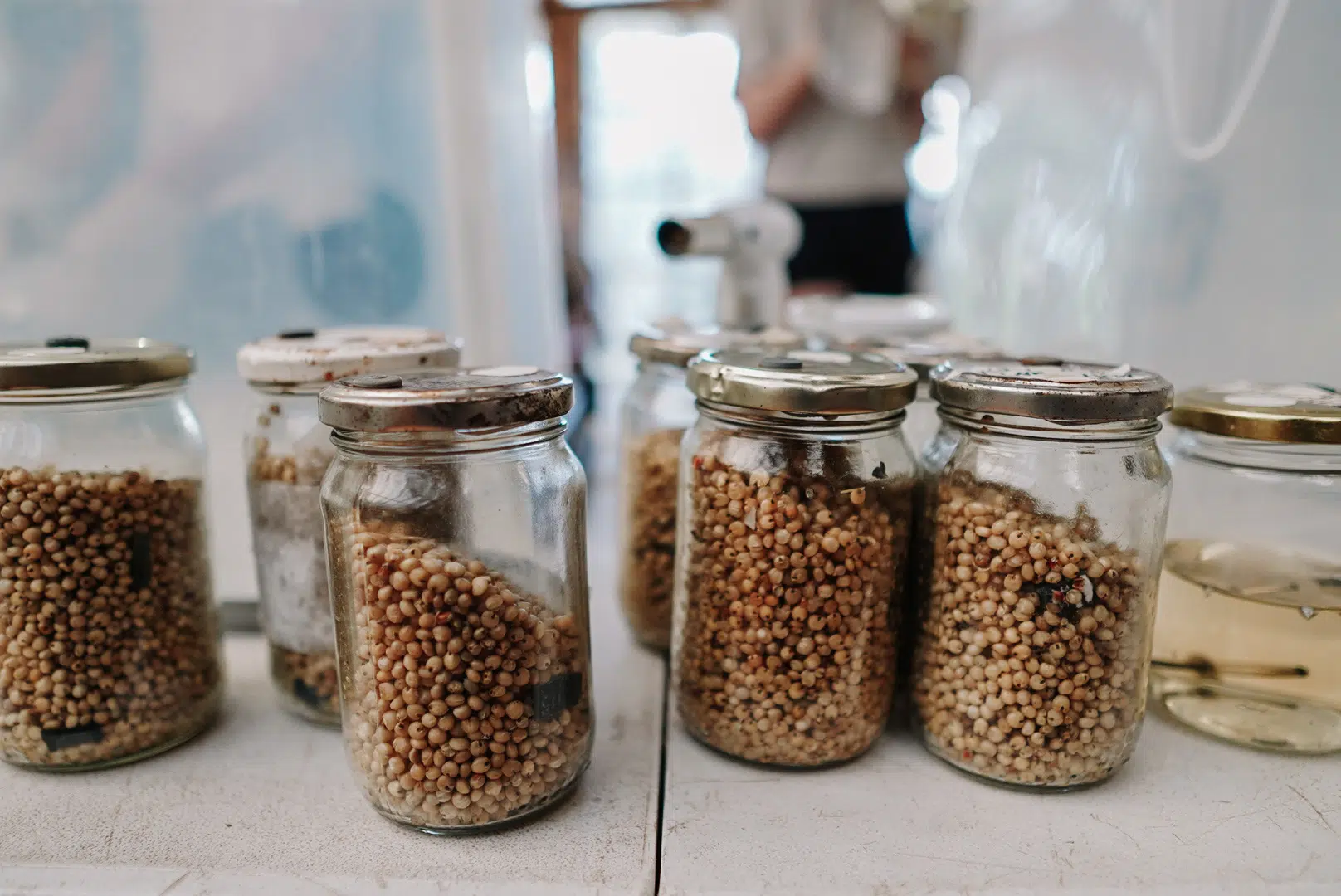 Grain Jar_Equipment - Fungi Academy