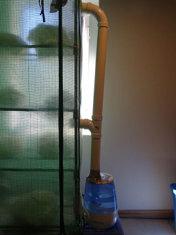 Mushroom Fruiting Chamber: How to Make a Martha Grow Room - Fungi Academy