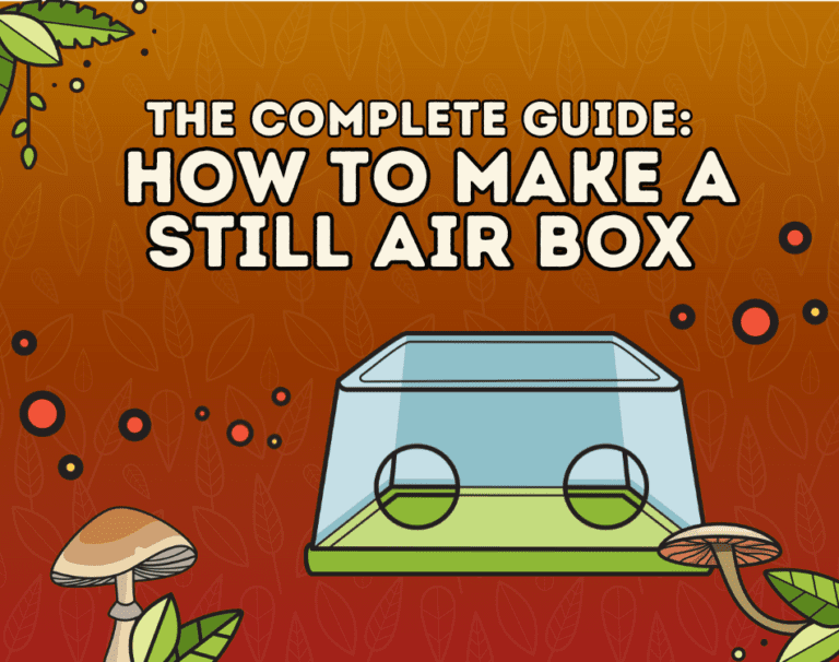 How to Make a Still Air Box — DIY Guide for Mushroom Cultivation (2025 ...