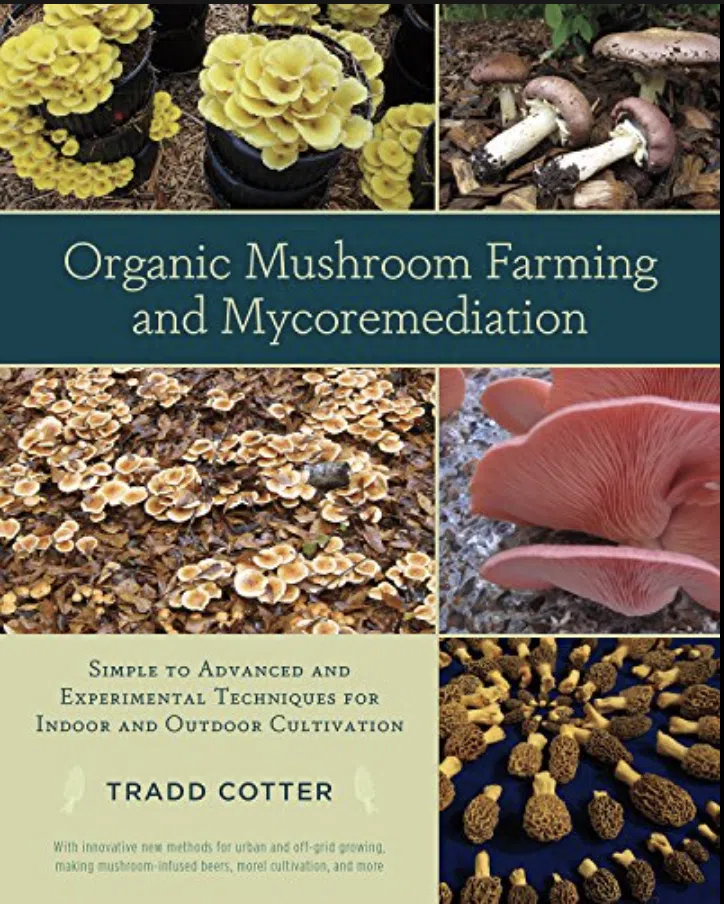 Organic Mushroom Farming - Fungi Academy