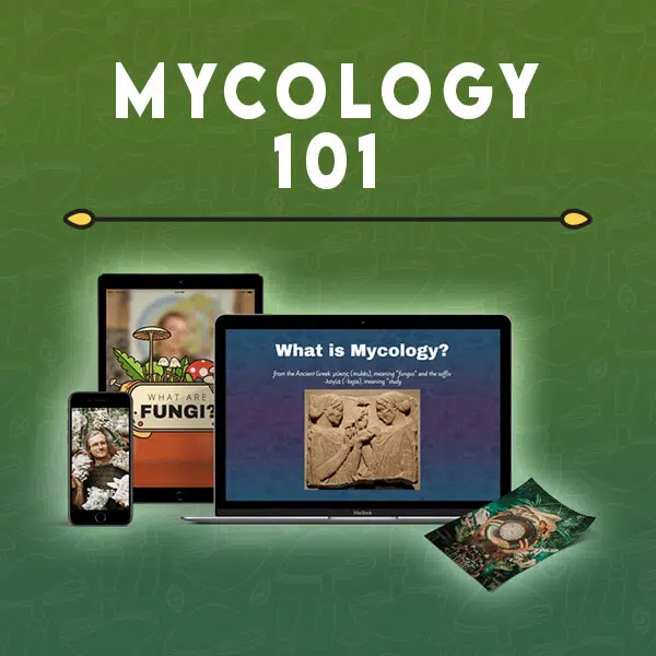Mycology 101 - Fungi Academy