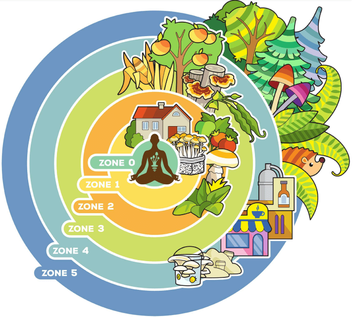 Mushrooms and Permaculture: A Perfect Marriage, Pt. I - Fungi Academy