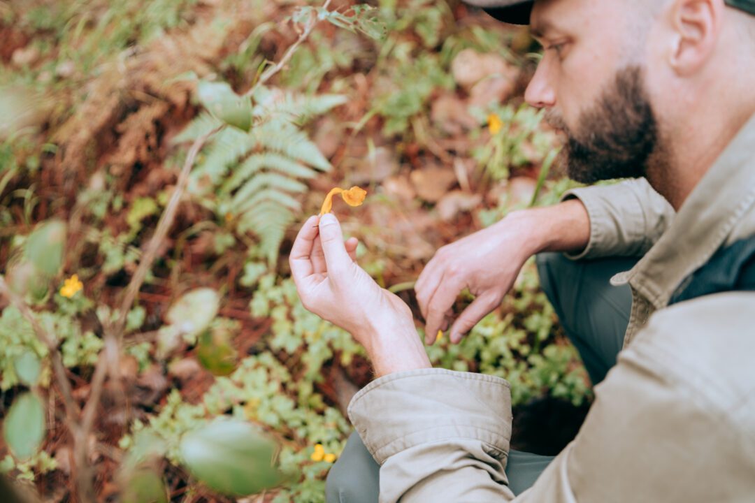 Deepen your relationship with the Magical fungal beings around us!