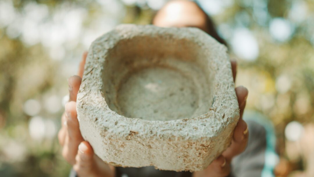 5 Ways Mushroom Mycelium Will Change the World - Fungi Academy