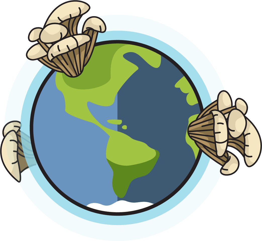 Online Sacred Mycology School - Fungi Academy