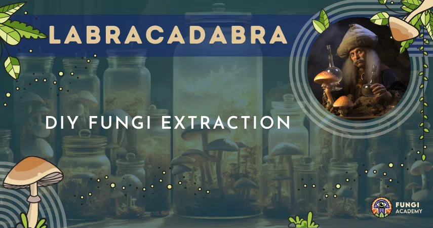 Masterclass WEB Banner - LABRACADABRA - Fungi Academy