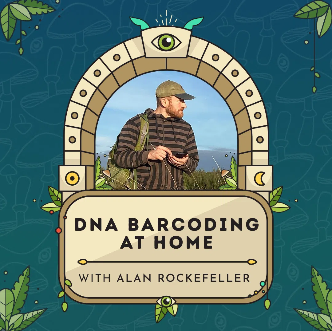 Alan Rockefeller Square – Fungi Academy