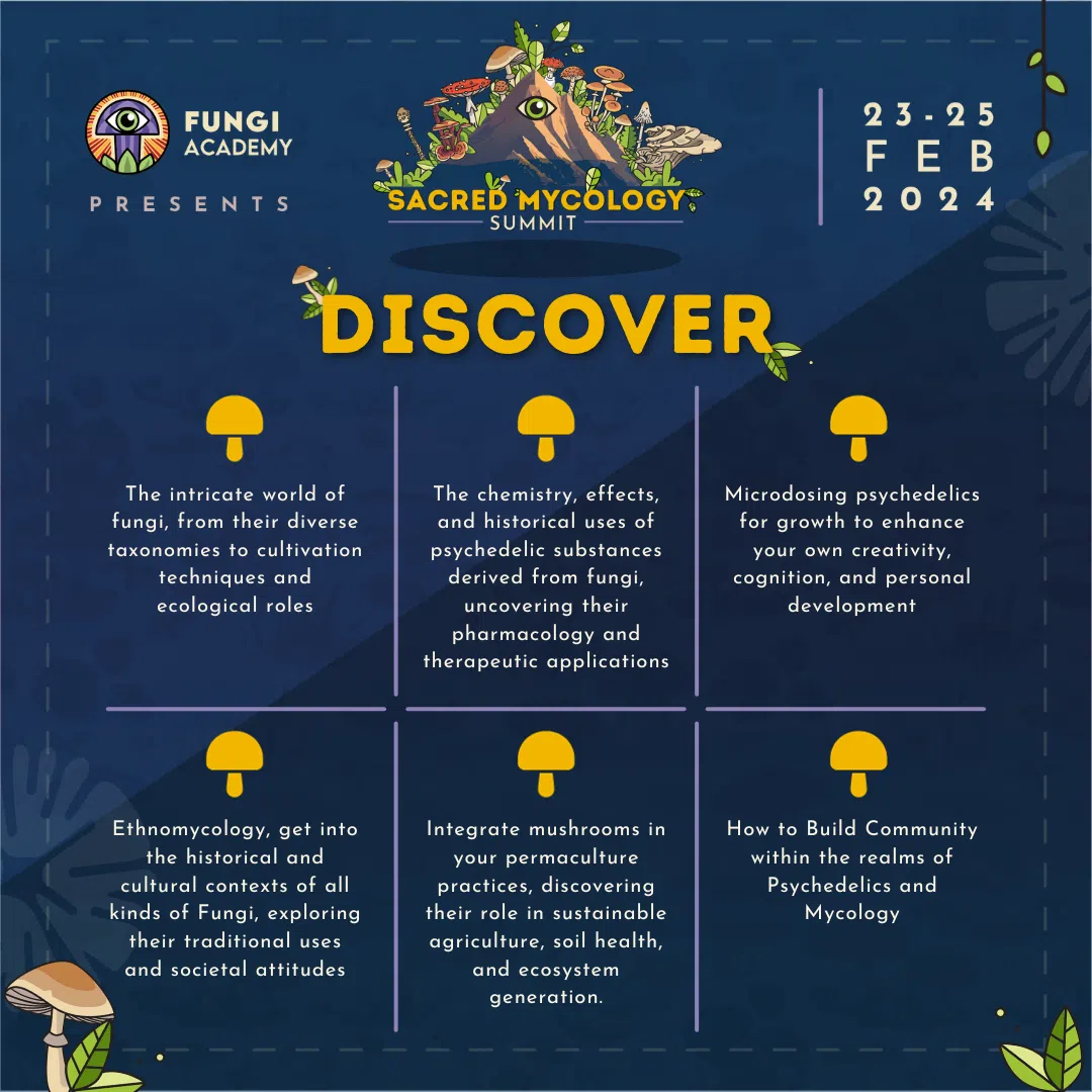 Discover_SMS_Feed2 - Fungi Academy