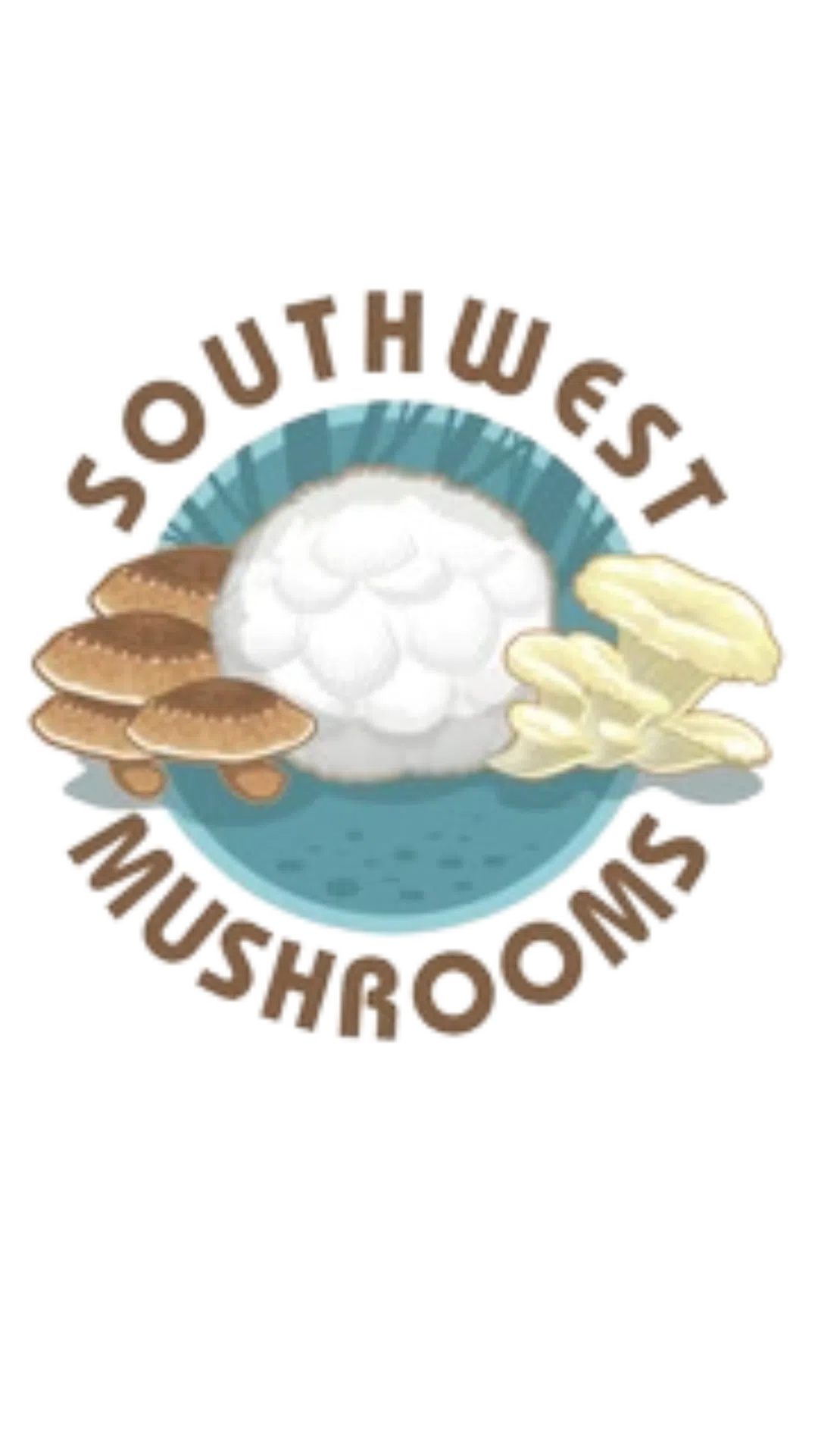 Sponsor Feature STORY – SMS – Fungi Academy