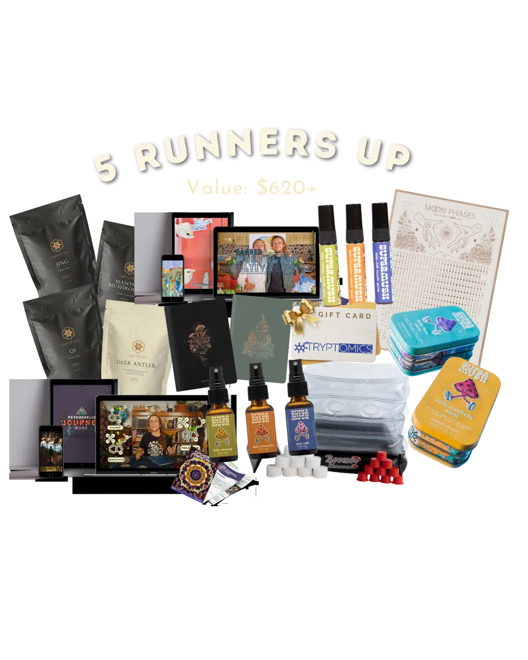 Giveaway Runner up Prize - Fungi Academy