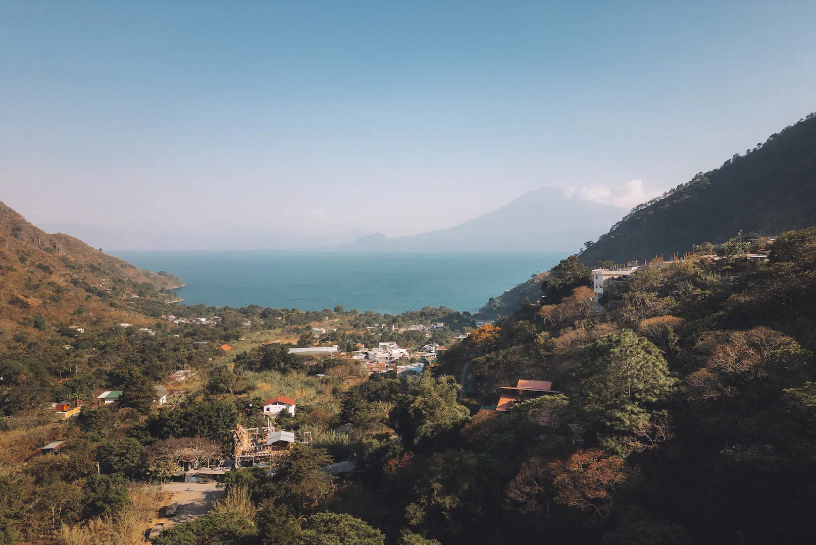 lake rectangle – Fungi Academy