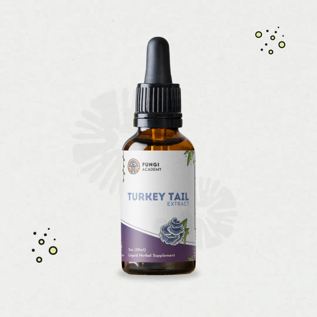 Turkey Tail(DRAFT) – Fungi Academy