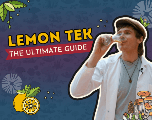 The ULTIMATE Lemon Tek Guide - Fungi Academy