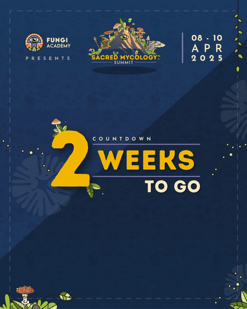 2 weeks Countdown - SMS25-feed - Fungi Academy
