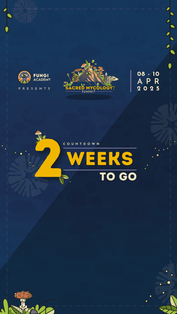 2 weeks Countdown - SMS25-story - Fungi Academy