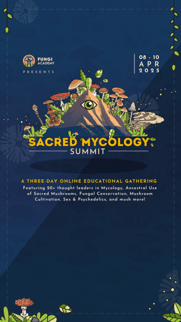 Cover - SMS25 - Story - Fungi Academy