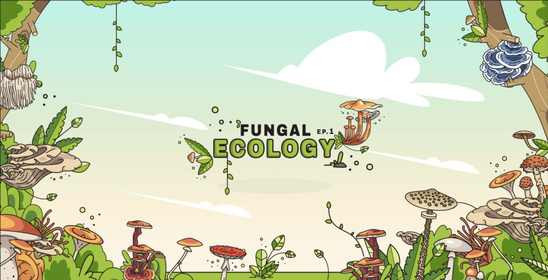 Fungal Ecology Poster-mockup-styleframe- Editable-01 (1) - Fungi Academy