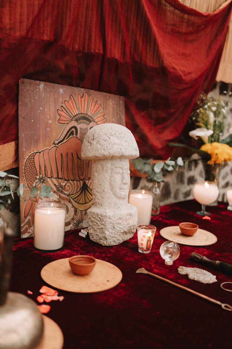 Mycelia: Women's Retreat - Fungi Academy