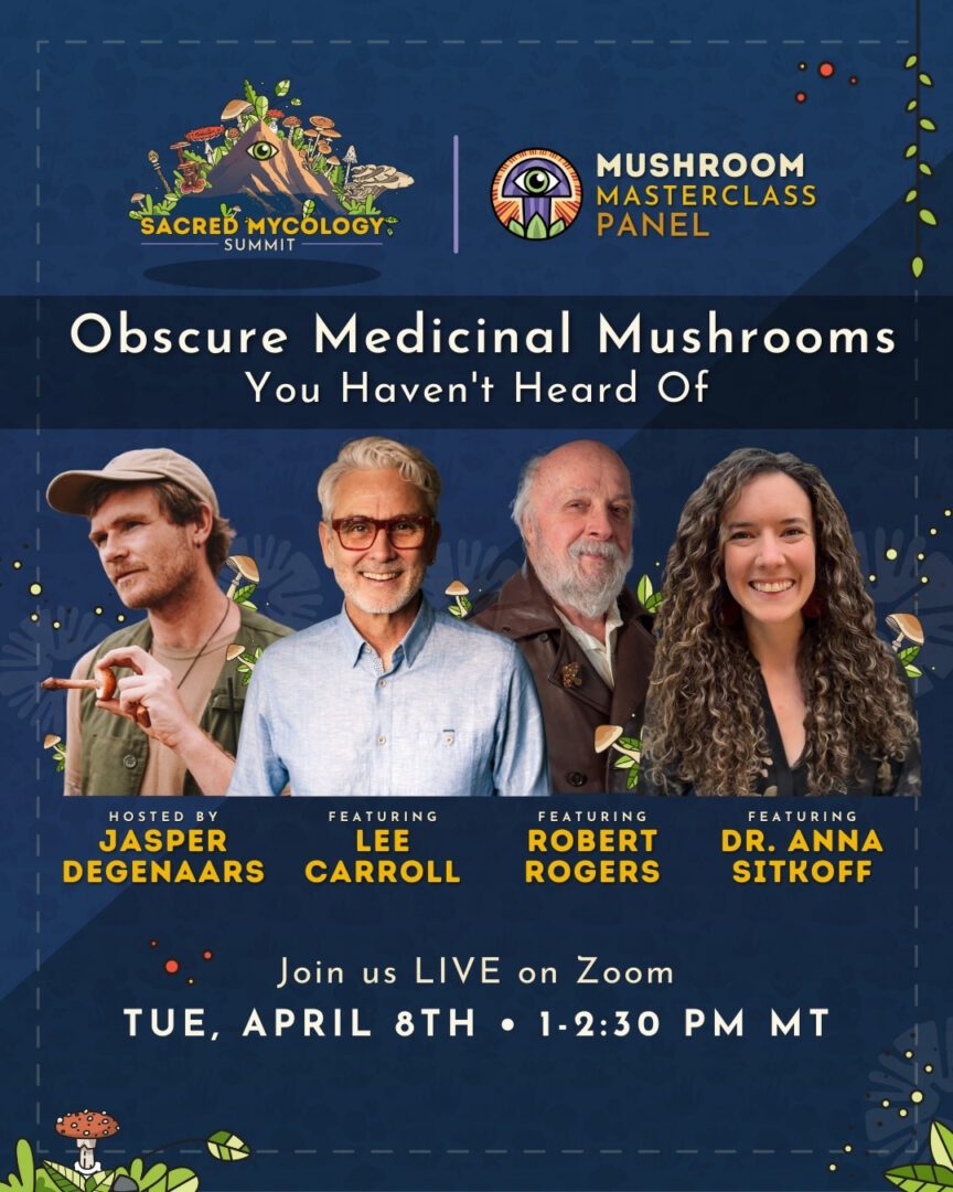 WIP Medicinal Mushrooms Panel - SMS25-feed - Fungi Academy