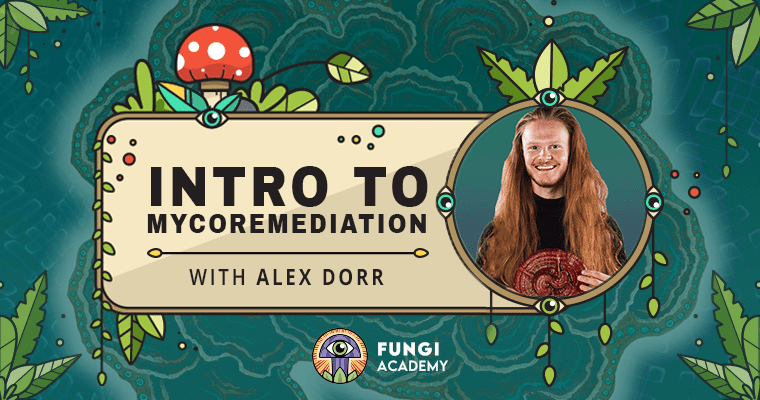 Masterclass Web banner - ALEX DORR - Mycoremediation - Fungi Academy